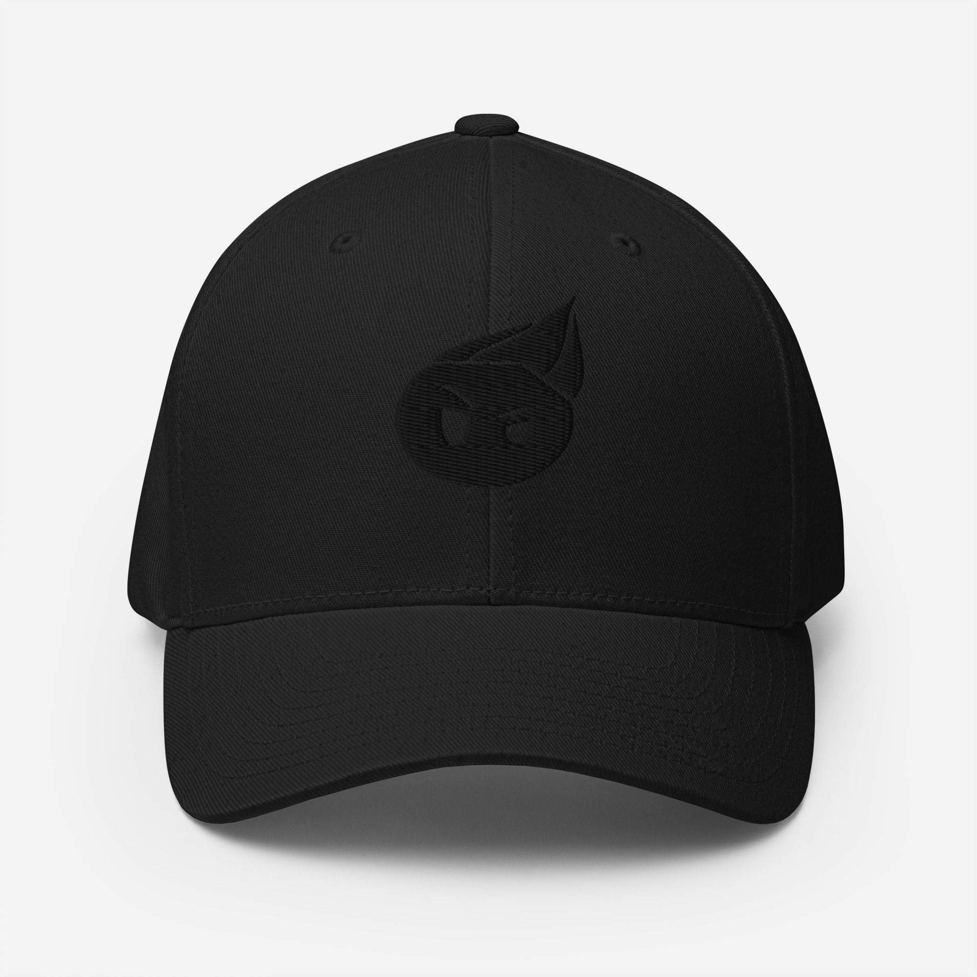 ALL BLACK NLO FlexFit Cap • NOBODY LIKES ONIONS