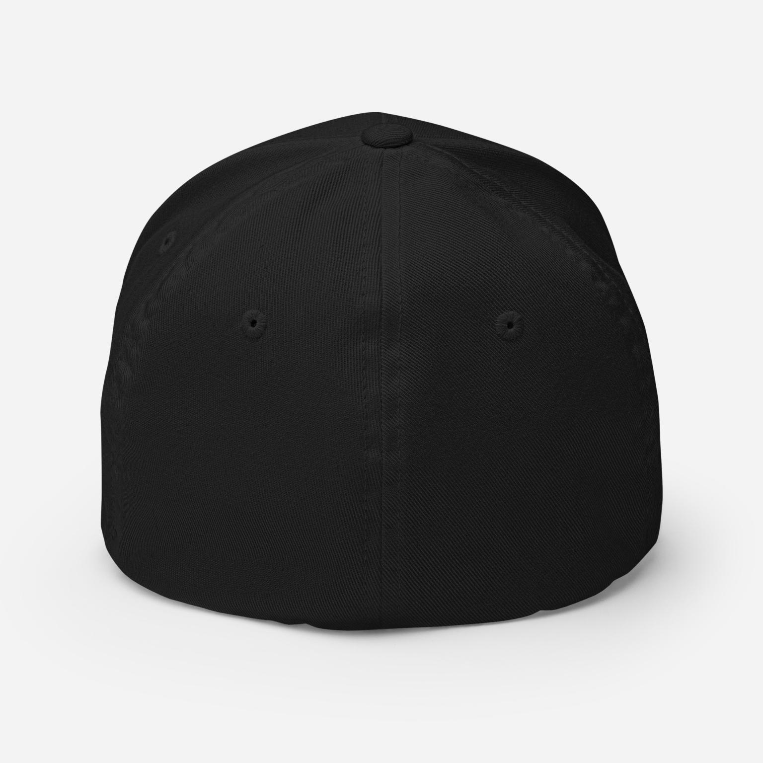ALL BLACK NLO FlexFit Cap • NOBODY LIKES ONIONS