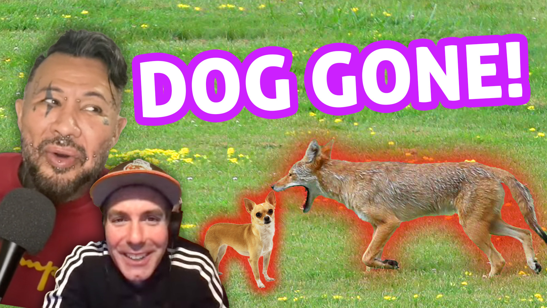 September 11, 2023 - TWIN TOWERS of Comedy! Thai Rivera KILLS His Dog ...